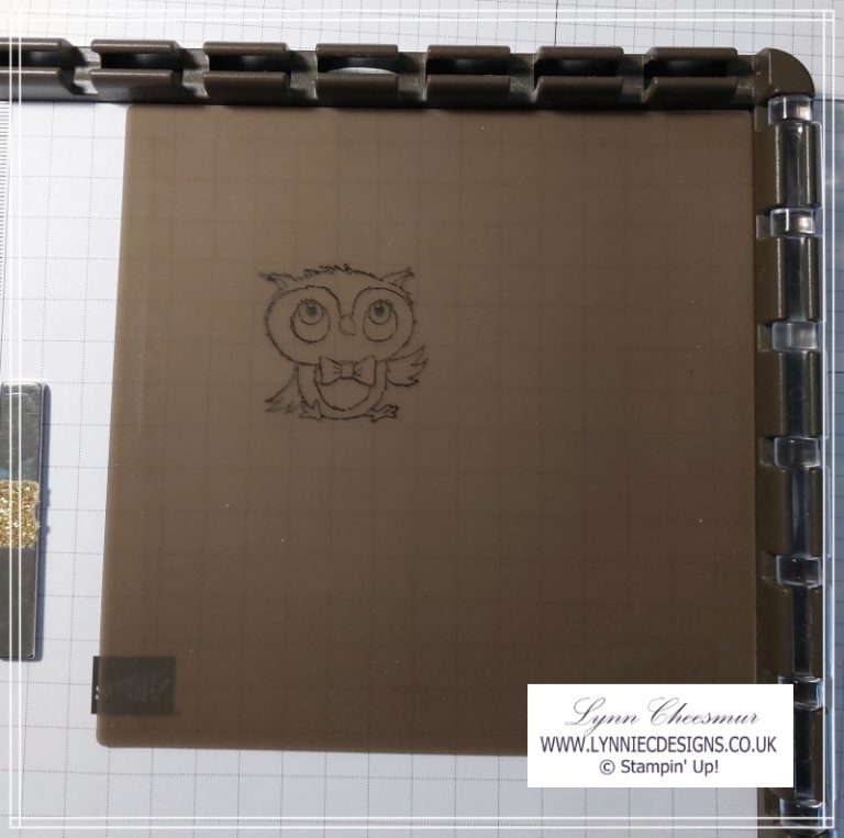 Learn how to stamp the perfect mirror image